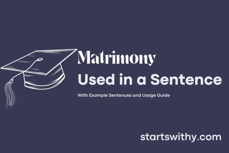 MATRIMONY in a Sentence Examples: 21 Ways to Use Matrimony