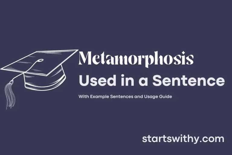 METAMORPHOSIS in a Sentence Examples: 21 Ways to Use Metamorphosis