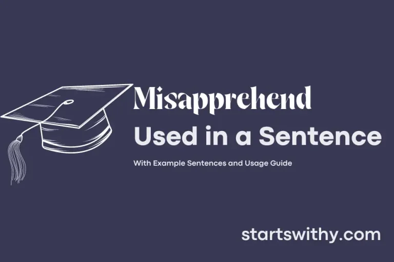 MISAPPREHEND in a Sentence Examples: 21 Ways to Use Misapprehend