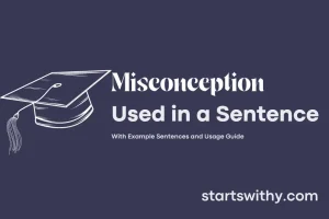 MISCONCEPTION in a Sentence Examples: 21 Ways to Use Misconception