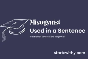 MISOGYNIST in a Sentence Examples: 21 Ways to Use Misogynist