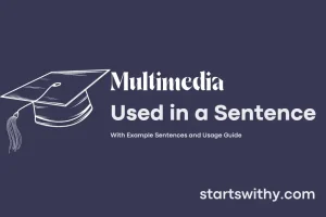 MULTIMEDIA in a Sentence Examples: 21 Ways to Use Multimedia