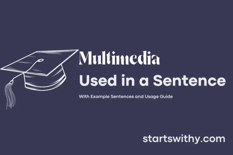 MULTIMEDIA in a Sentence Examples: 21 Ways to Use Multimedia