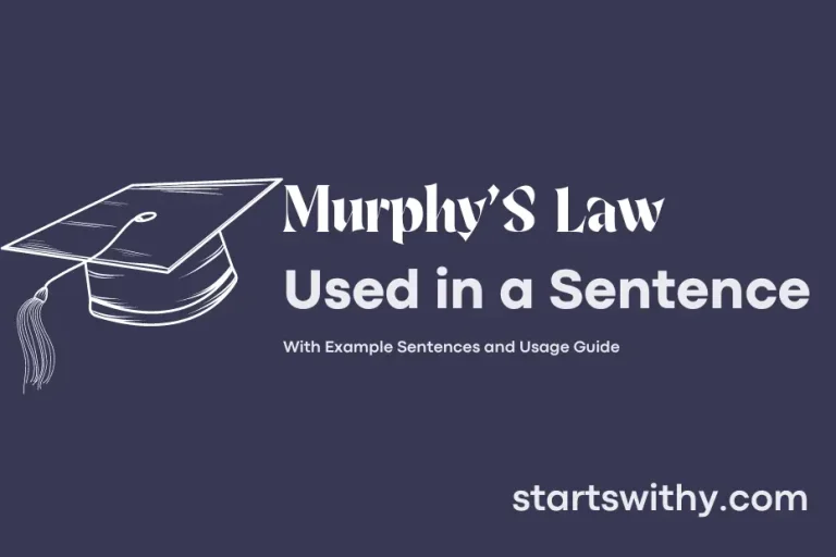 MURPHY'S LAW in a Sentence Examples: 21 Ways to Use Murphy'S Law