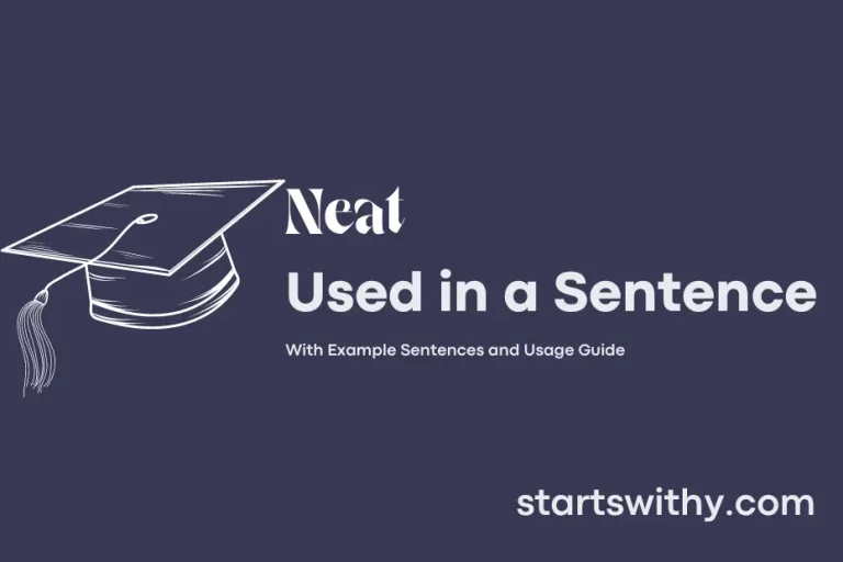 NEAT in a Sentence Examples: 21 Ways to Use Neat