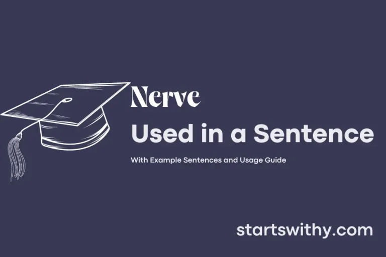 NERVE in a Sentence Examples: 21 Ways to Use Nerve