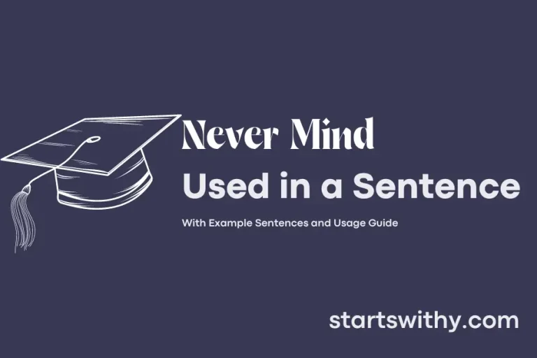 NEVER MIND in a Sentence Examples: 21 Ways to Use Never Mind