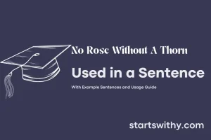 NO ROSE WITHOUT A THORN in a Sentence Examples: 21 Ways to Use No Rose ...