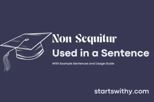 NON SEQUITUR in a Sentence Examples: 21 Ways to Use Non Sequitur