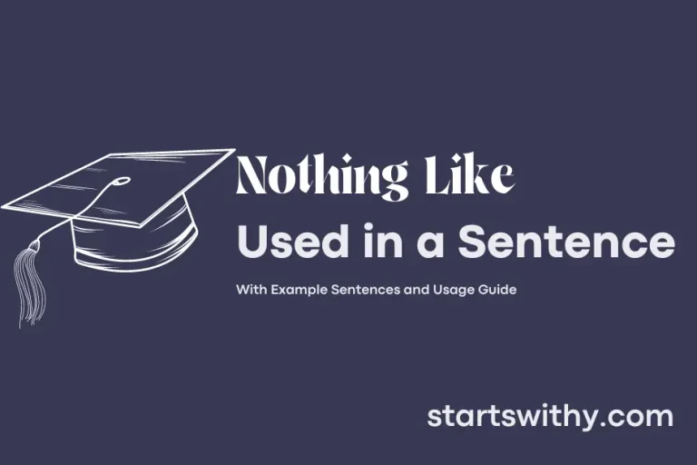 NOTHING LIKE in a Sentence Examples: 21 Ways to Use Nothing Like