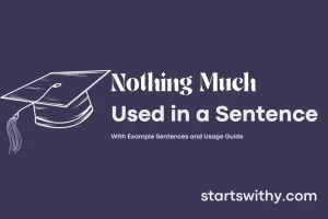 NOTHING MUCH in a Sentence Examples: 21 Ways to Use Nothing Much