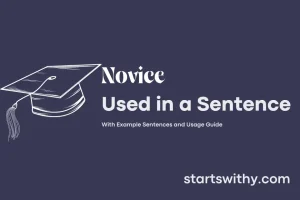 NOVICE in a Sentence Examples: 21 Ways to Use Novice