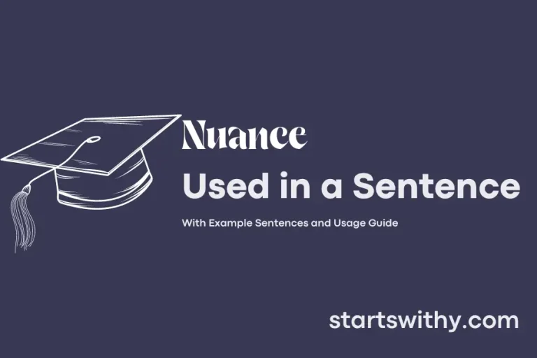 NUANCE in a Sentence Examples: 21 Ways to Use Nuance