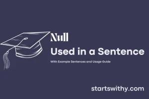 NULL in a Sentence Examples: 21 Ways to Use Null