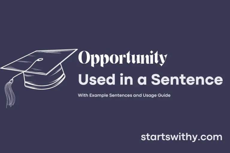OPPORTUNITY in a Sentence Examples: 21 Ways to Use Opportunity