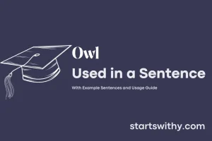 OWL in a Sentence Examples: 21 Ways to Use Owl