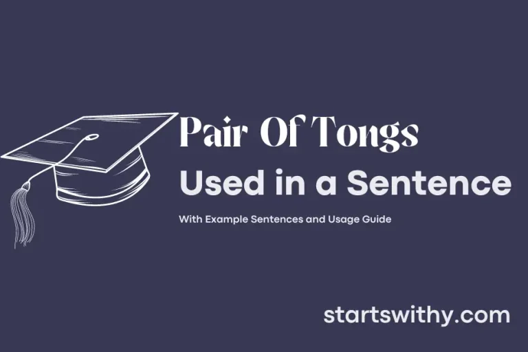 PAIR OF TONGS in a Sentence Examples: 21 Ways to Use Pair Of Tongs
