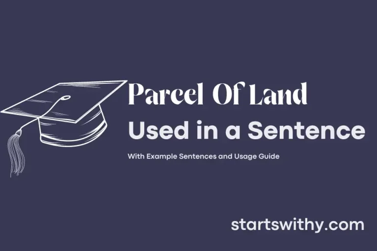 PARCEL OF LAND in a Sentence Examples: 21 Ways to Use Parcel Of Land