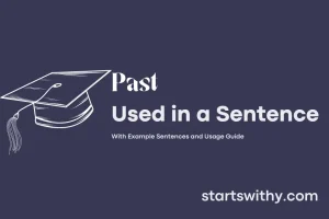 PAST in a Sentence Examples: 21 Ways to Use Past
