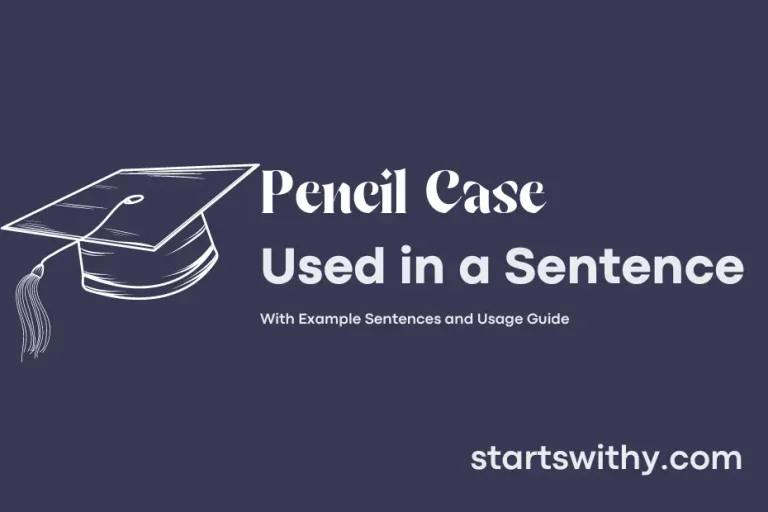 PENCIL CASE in a Sentence Examples: 21 Ways to Use Pencil Case