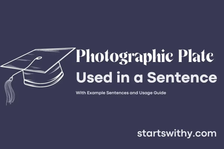 PHOTOGRAPHIC PLATE in a Sentence Examples: 21 Ways to Use Photographic ...
