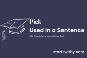 PICK in a Sentence Examples: 21 Ways to Use Pick