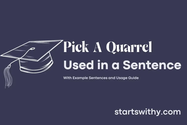 PICK A QUARREL in a Sentence Examples: 21 Ways to Use Pick A Quarrel