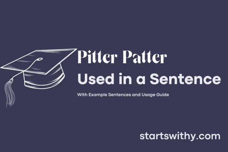 PITTER PATTER in a Sentence Examples: 21 Ways to Use Pitter Patter