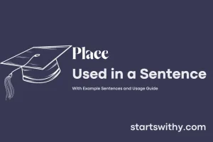 PLACE in a Sentence Examples: 21 Ways to Use Place