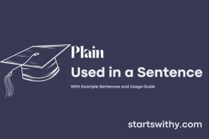 PLAIN in a Sentence Examples: 21 Ways to Use Plain