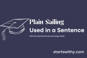 PLAIN SAILING in a Sentence Examples: 21 Ways to Use Plain Sailing