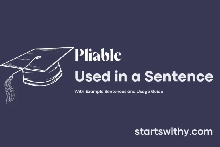 PLIABLE in a Sentence Examples: 21 Ways to Use Pliable