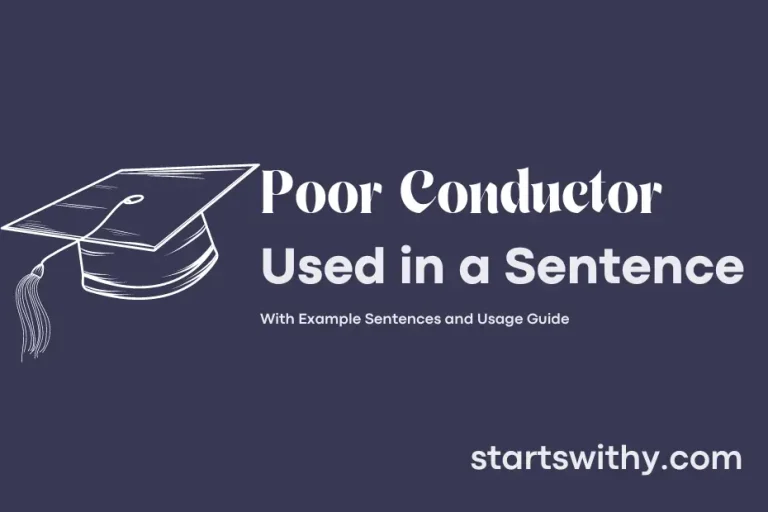 POOR CONDUCTOR in a Sentence Examples: 21 Ways to Use Poor Conductor