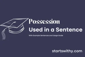 POSSESSION in a Sentence Examples: 21 Ways to Use Possession
