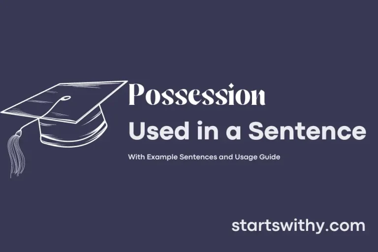 POSSESSION in a Sentence Examples: 21 Ways to Use Possession