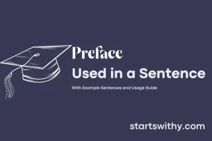 PREFACE in a Sentence Examples: 21 Ways to Use Preface