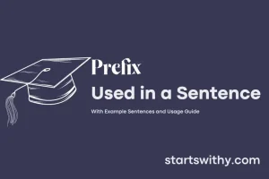 PREFIX in a Sentence Examples: 21 Ways to Use Prefix