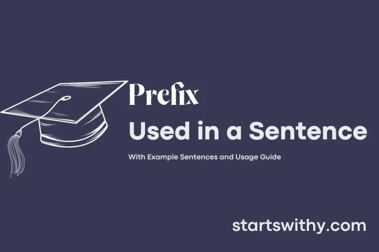 PREFIX in a Sentence Examples: 21 Ways to Use Prefix