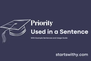 PRIORITY in a Sentence Examples: 21 Ways to Use Priority