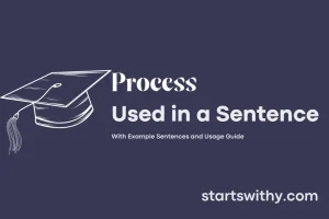 PROCESS in a Sentence Examples: 21 Ways to Use Process