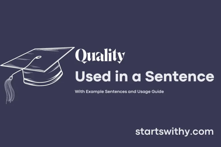QUALITY in a Sentence Examples: 21 Ways to Use Quality