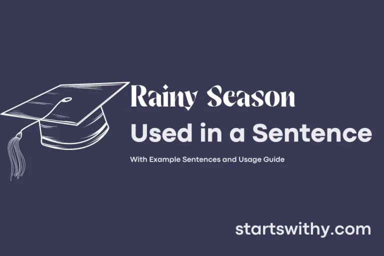 RAINY SEASON in a Sentence Examples: 21 Ways to Use Rainy Season