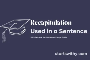 RECAPITULATION in a Sentence Examples: 21 Ways to Use Recapitulation