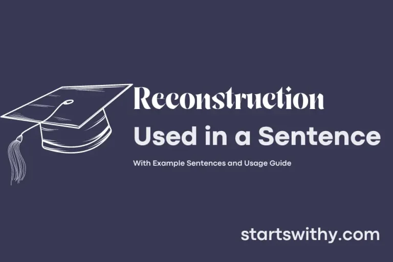 RECONSTRUCTION in a Sentence Examples: 21 Ways to Use Reconstruction