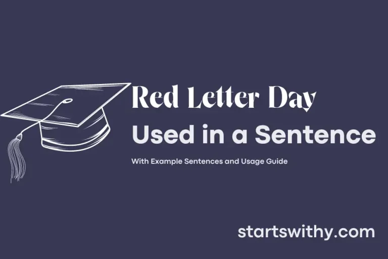 RED LETTER DAY in a Sentence Examples: 21 Ways to Use Red Letter Day