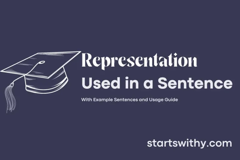 Representation In A Sentence Examples 21 Ways To Use Representation