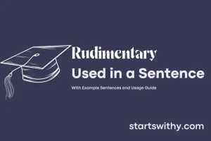 RUDIMENTARY in a Sentence Examples: 21 Ways to Use Rudimentary