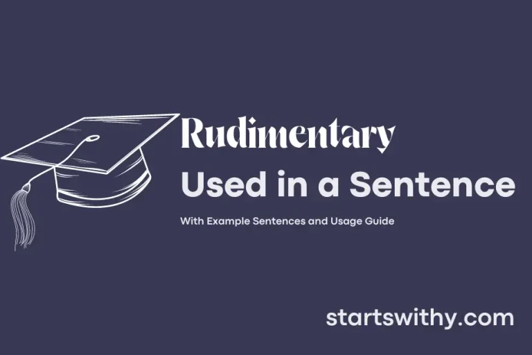 RUDIMENTARY in a Sentence Examples: 21 Ways to Use Rudimentary