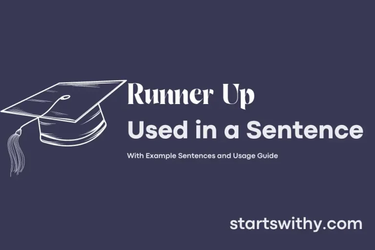 RUNNER UP in a Sentence Examples: 21 Ways to Use Runner Up