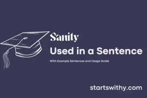SANITY in a Sentence Examples: 21 Ways to Use Sanity
